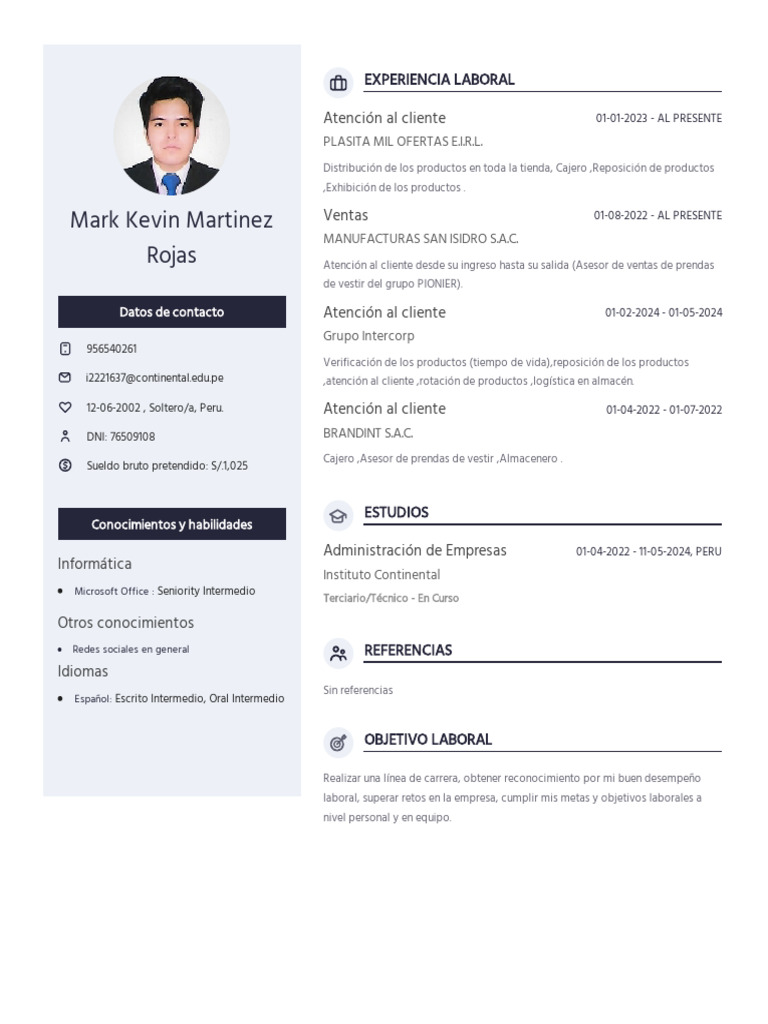Cv Mark (1) | PDF | Informática | Economias