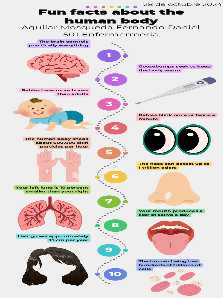 Infografía Cronológica Línea de Tiempo Timeline Sencillo Moderno Multicolor | PDF