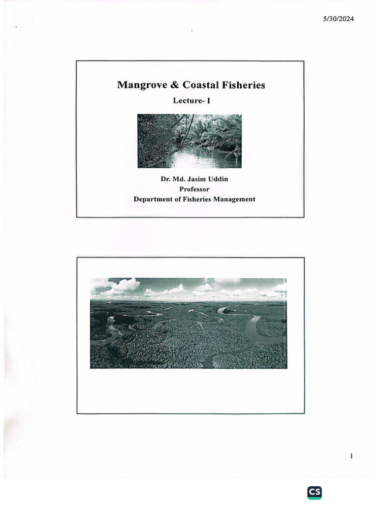 Prof. Dr. Md. Jasim Mangrove L1 | PDF