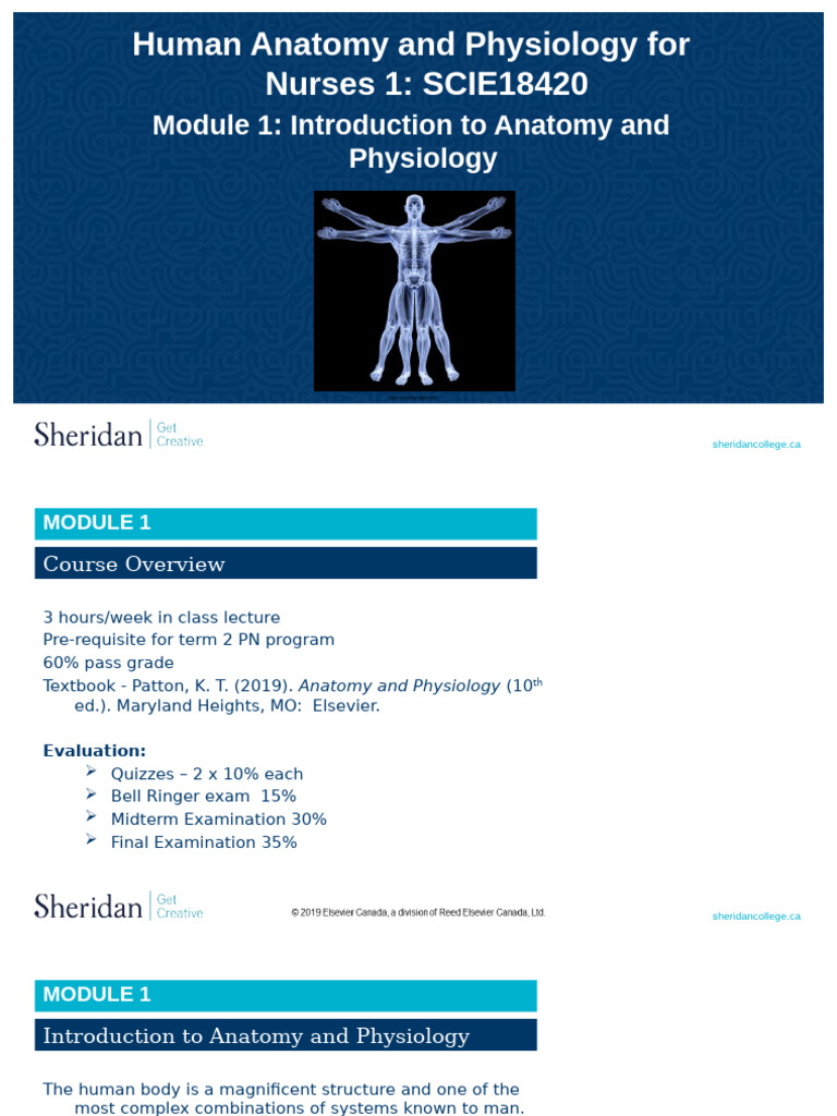 Human Anatomy & Physiology Overview | PDF | Anatomical Terms Of ...