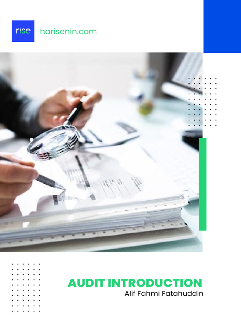 Audit Mini E-Book | PDF | Audit | Internal Control