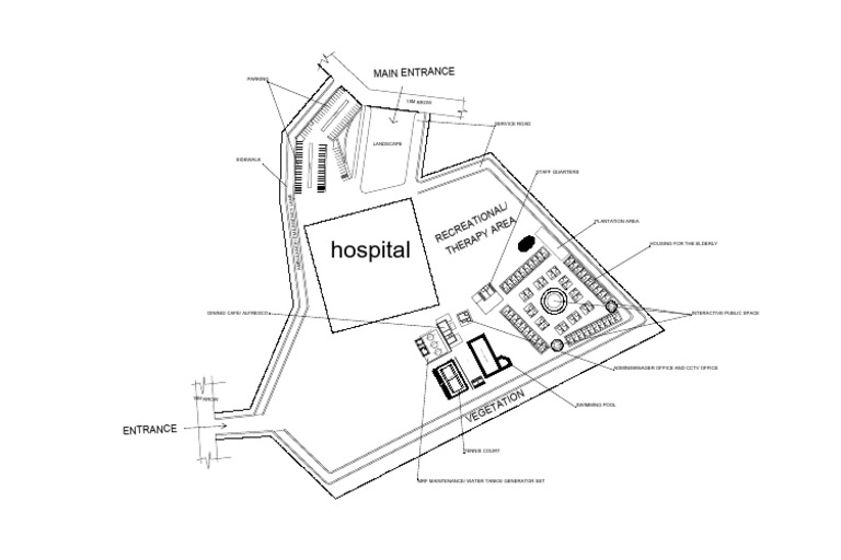 Hospital Initial Plan | PDF