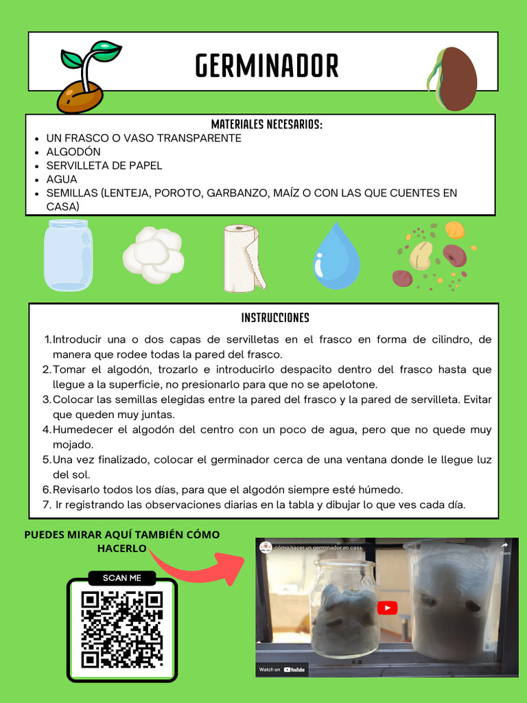 Cómo hacer un germinador casero | PDF