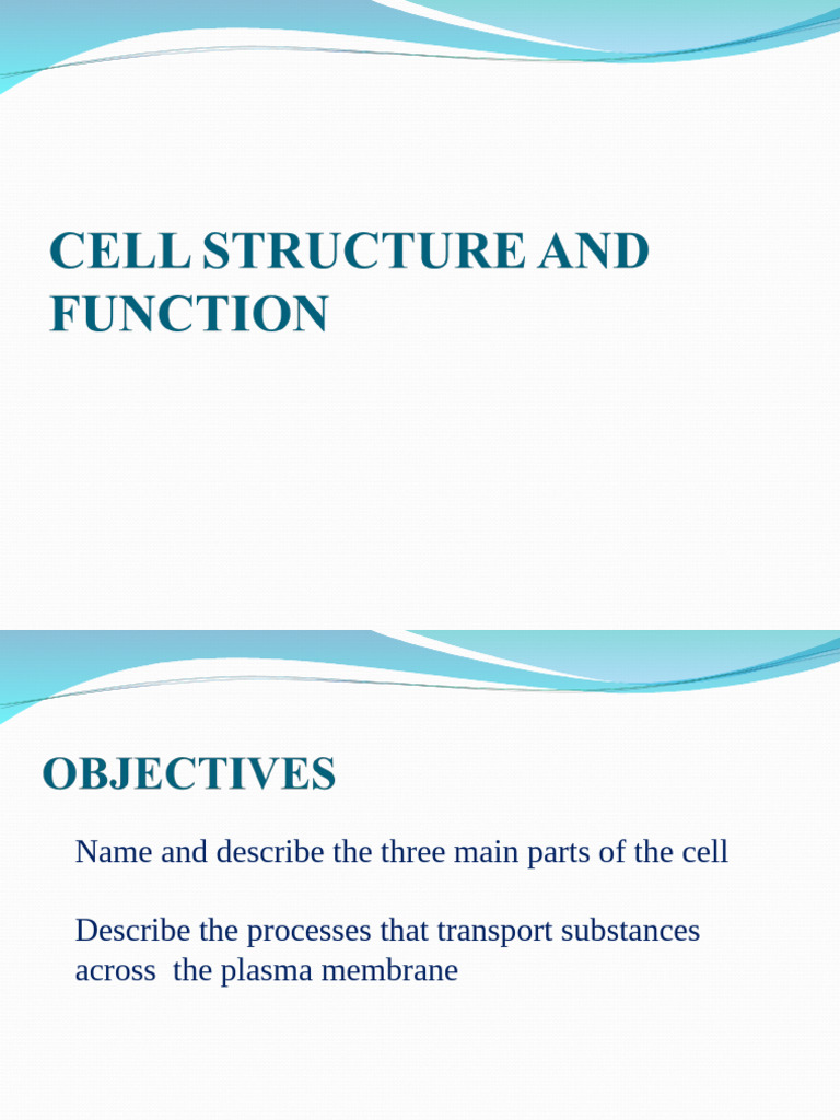 Overview of Cell Structure and Function | PDF | Cell (Biology) | Cell ...