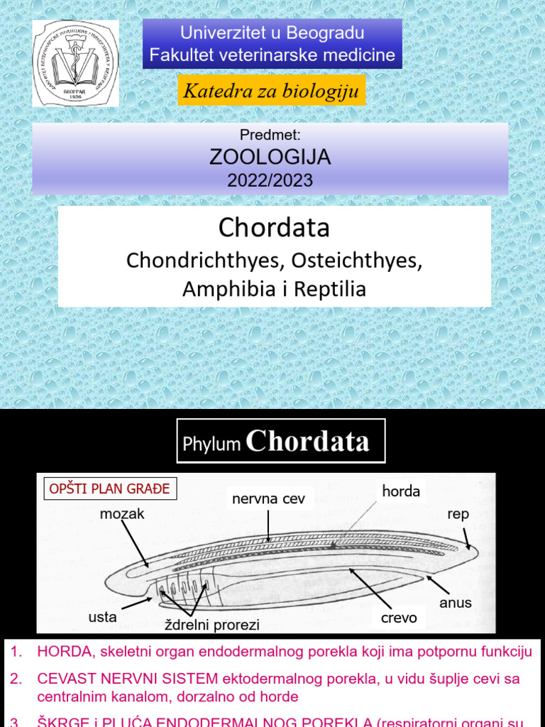 (2-3) ZOOLOGIJA CHORDATA RIBE VODOZ GMIZAVCI-2vxg1xgd | PDF