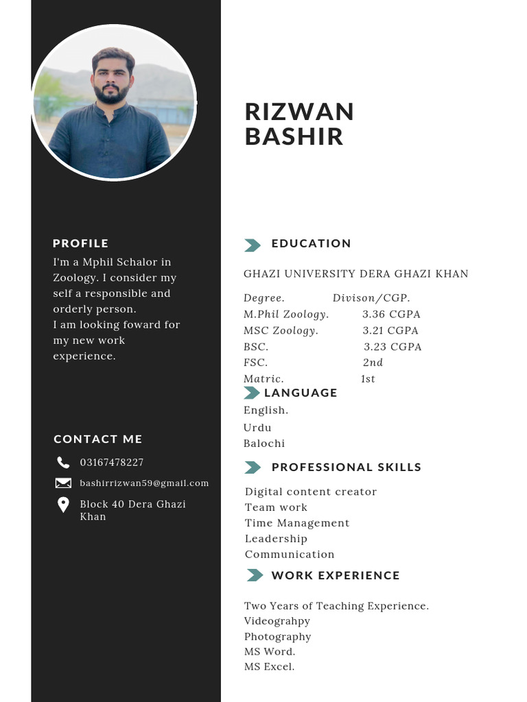 Rizwan CV | PDF