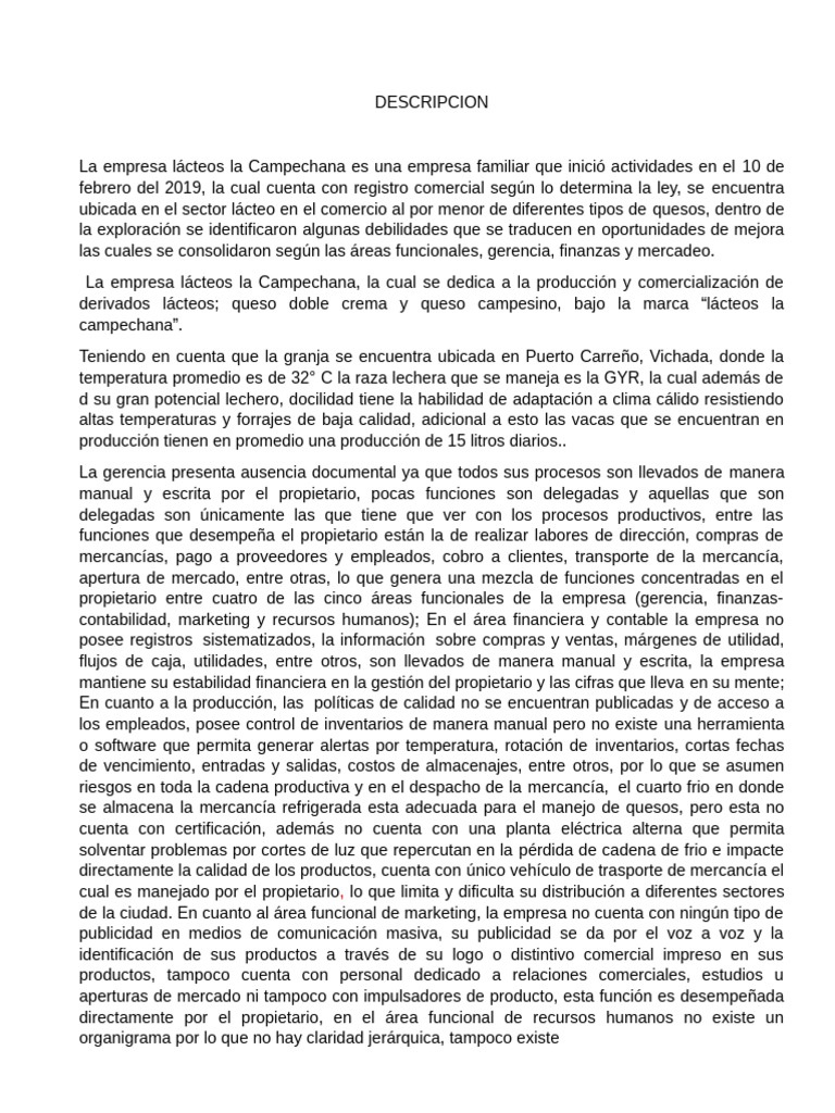 Plan de Accion | PDF | Business | Marketing