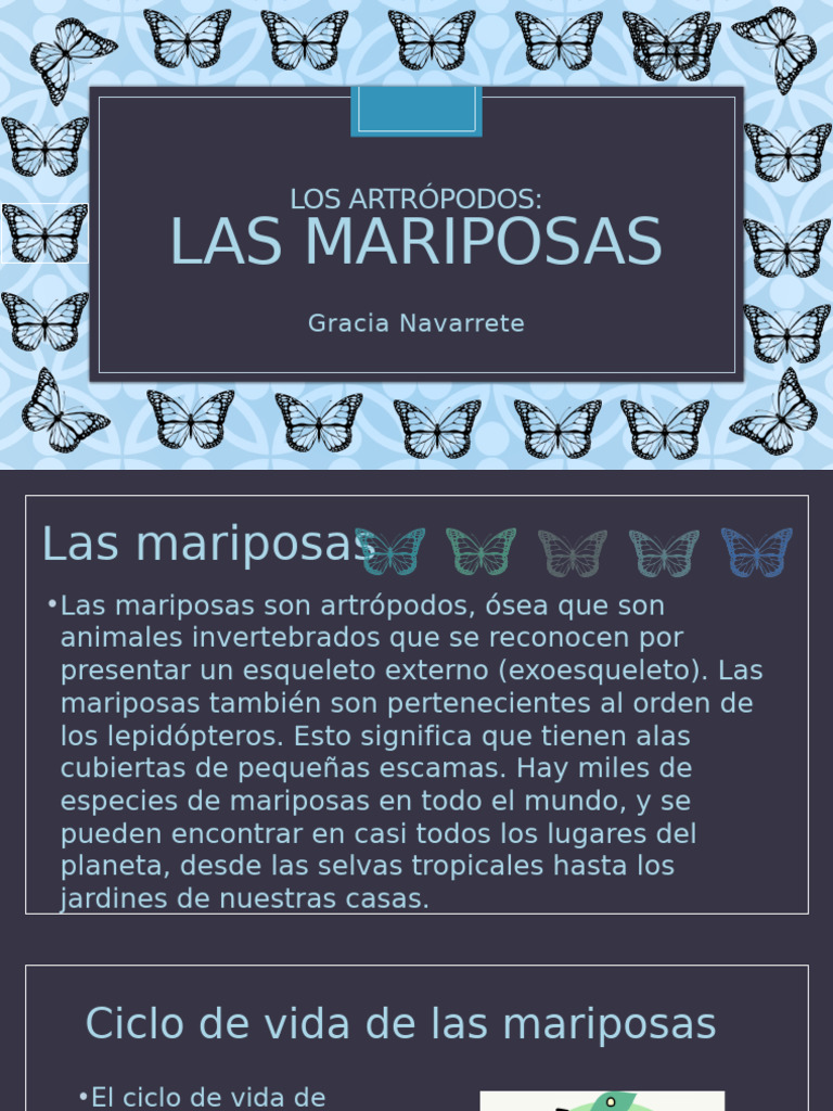 Los Artrópodos La Mariposa | PDF