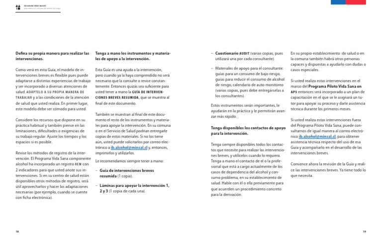 Audit: Ib - Alcohol@minsal - CL | PDF