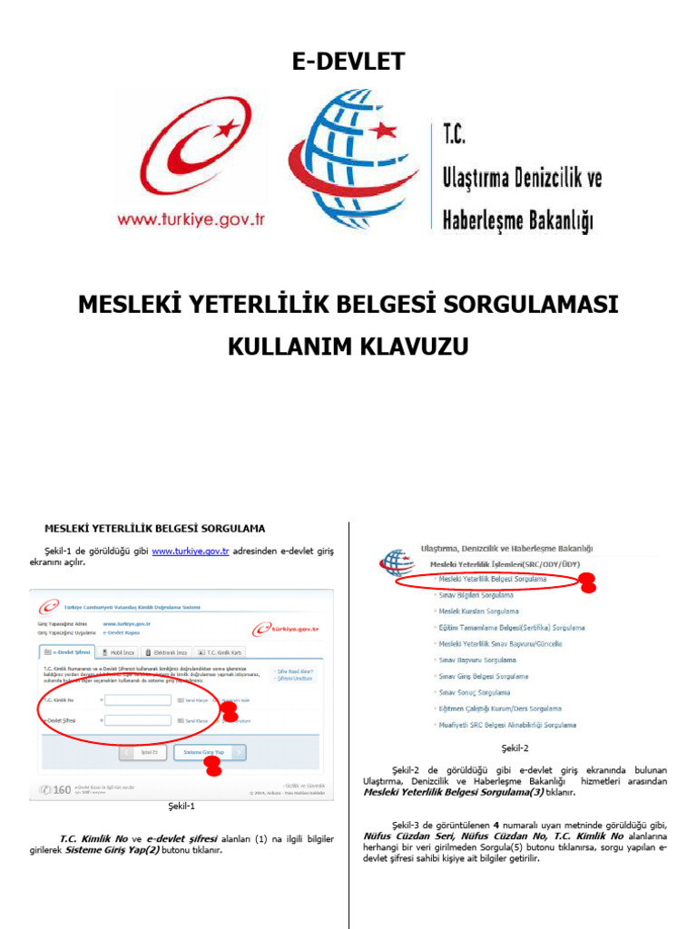 E Devlet Myb Sorgulama | PDF