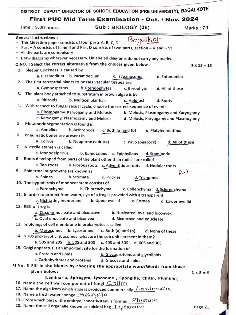 Pu1 BGK Midterm2024 | PDF