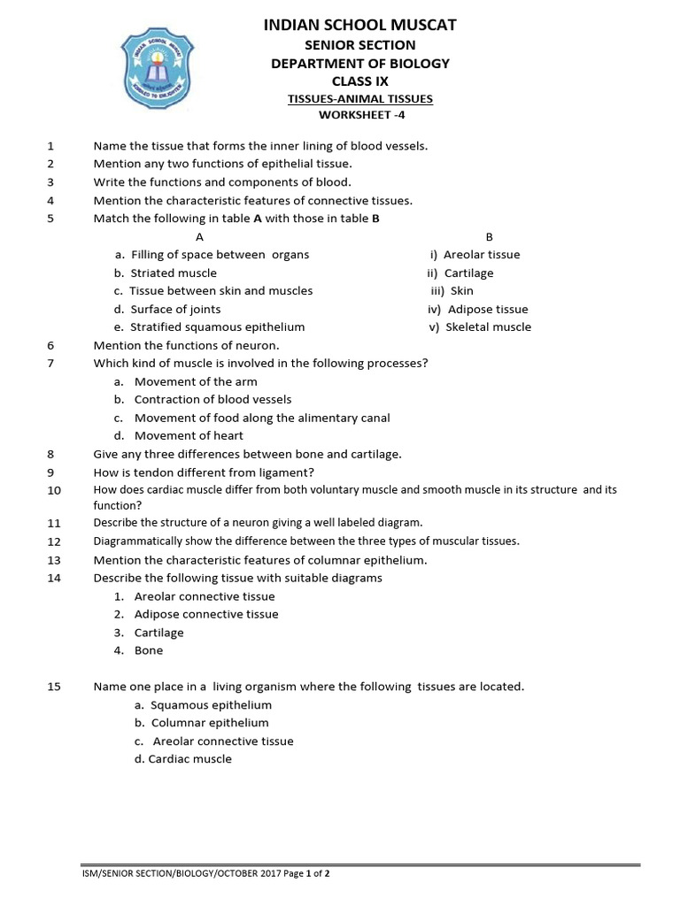 CLASS 9 Worksheet | PDF
