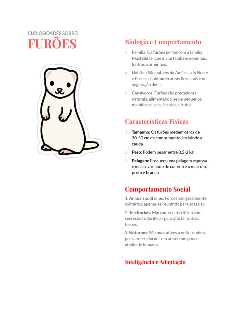Curiosidades sobre Furões: Biologia e Comportamento | PDF