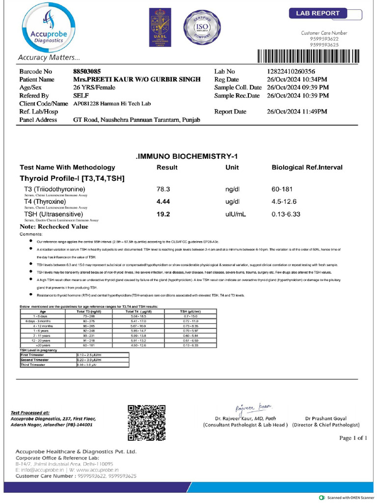 LabReportNew - 2024-10-28T143652.752 | PDF