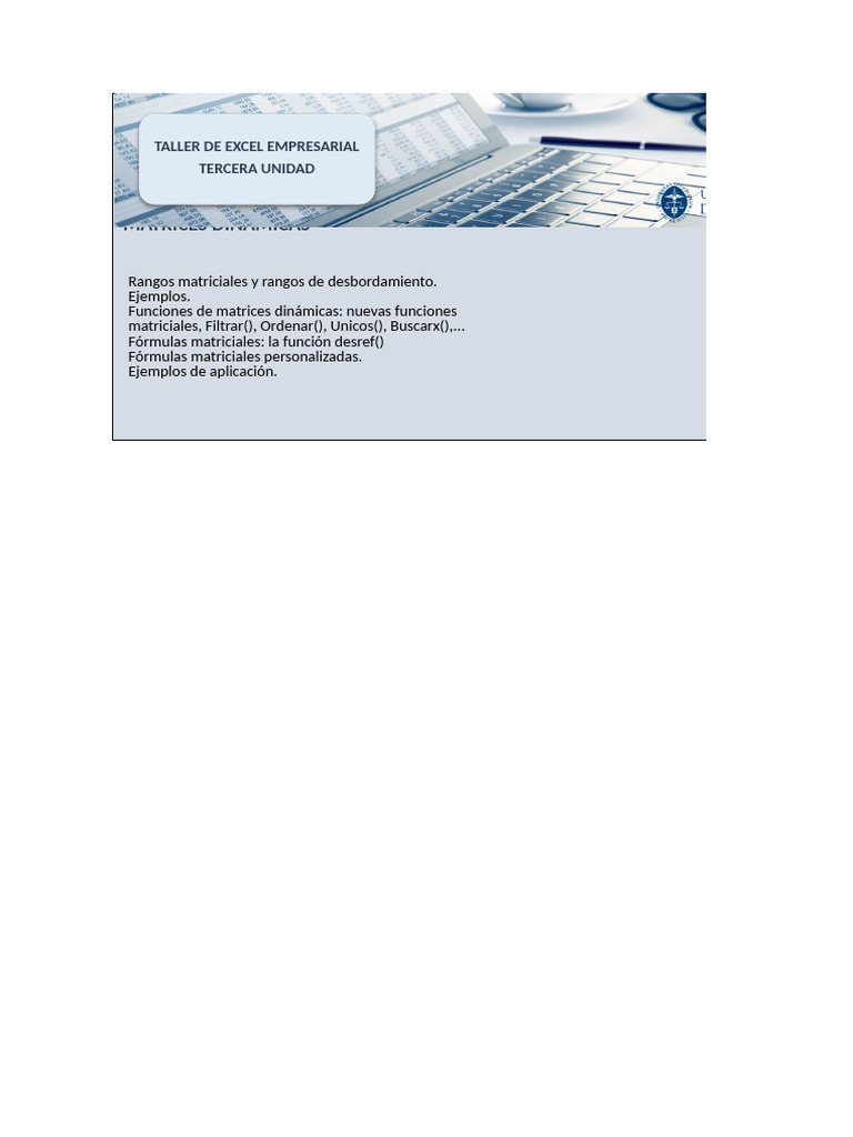 Funciones y Ejemplos de Matrices Dinámicas en Excel | PDF | Alimentos
