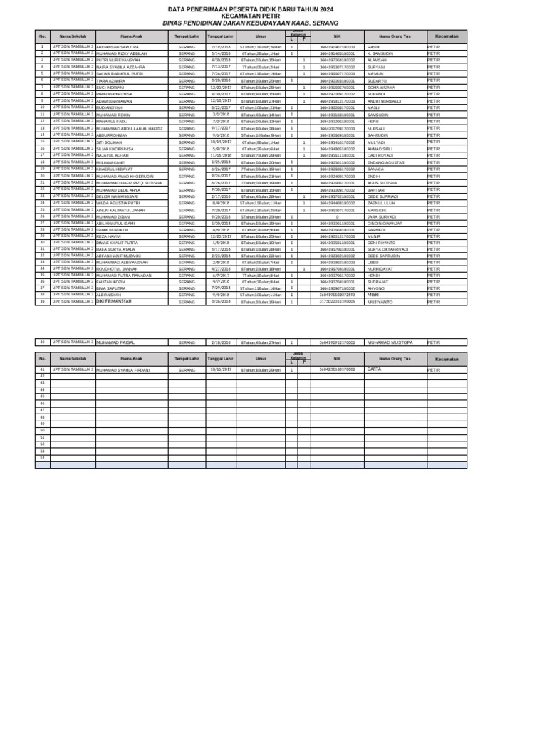 PPDB SDN Tambiluk 3 Petir 2024 | PDF