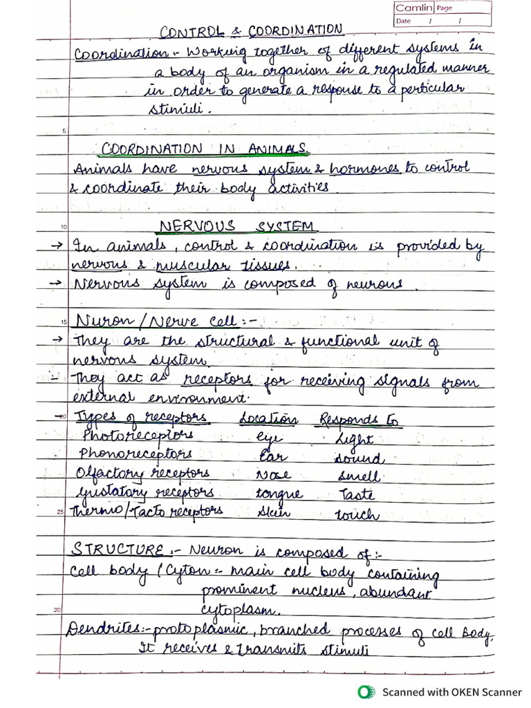 Handwritten Notes | PDF
