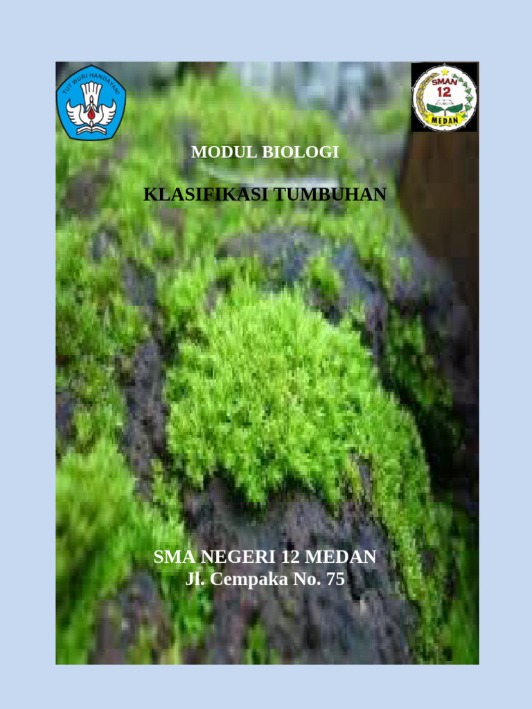 MODUL KLASIFIKASI TUMBUHAN - Kelas X - Netty MS | PDF