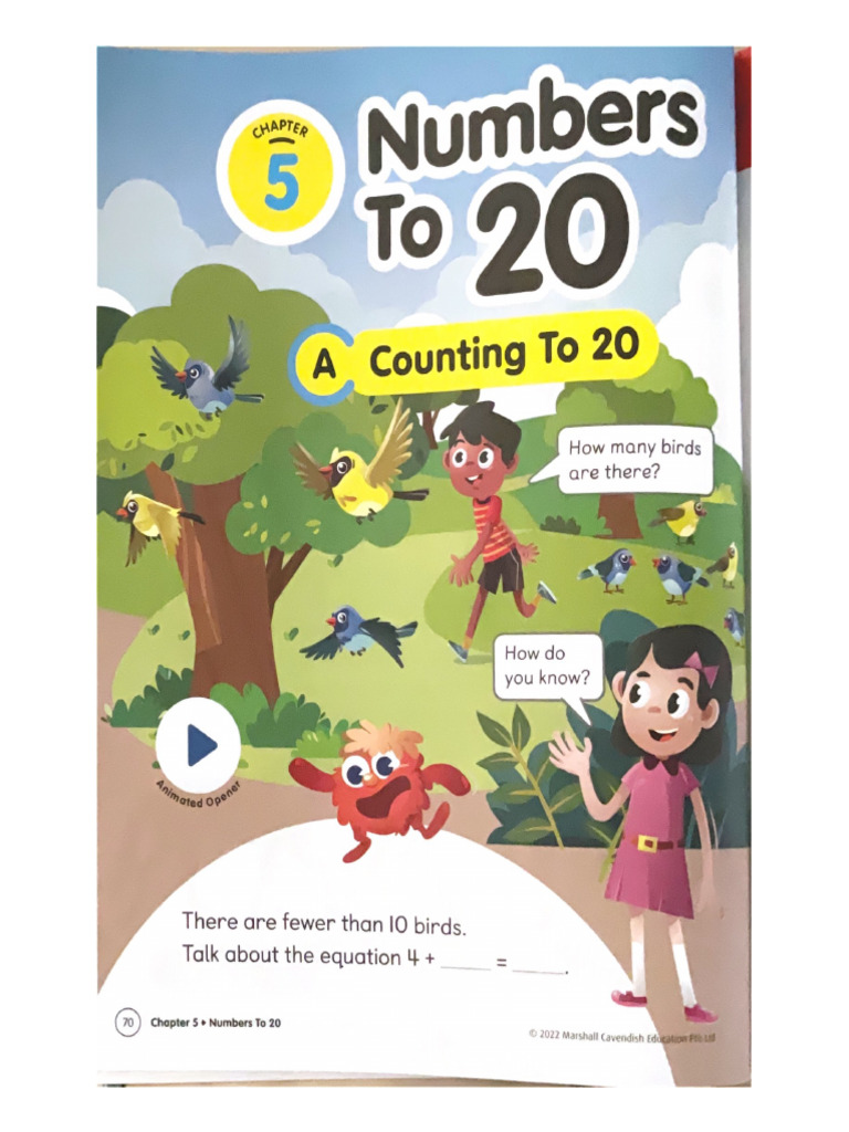 Pupils Numbers 20 | PDF