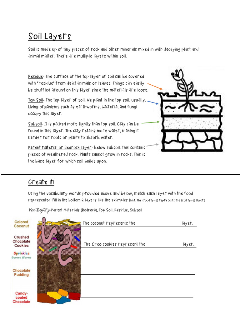 Edible Soil Lab Worksheet | PDF