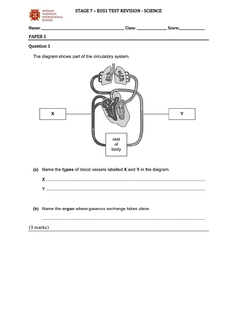 EOS1 Science Test Revision Guide | PDF