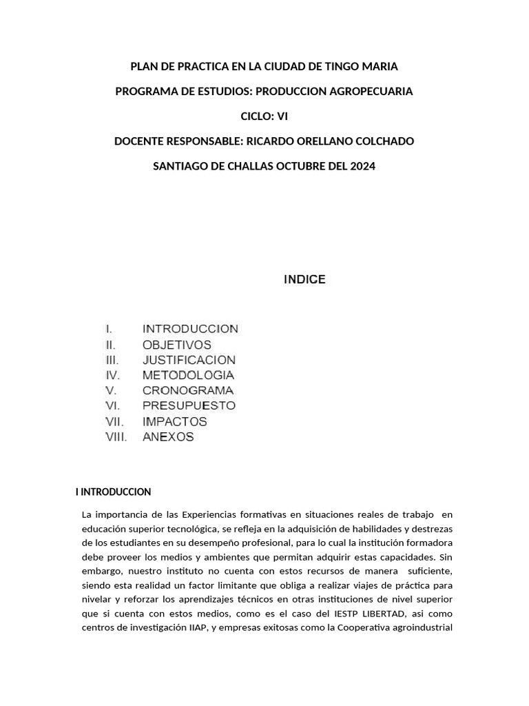 Plan de Practica en La Ciudad de Tingo Maria | PDF | Maestros