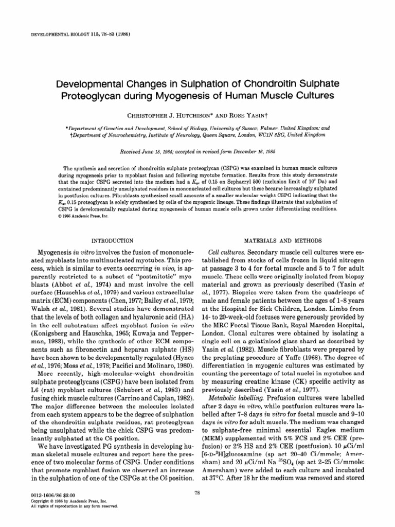 Developmental Changes in Sulphation of Chondroitin Sulphate ...