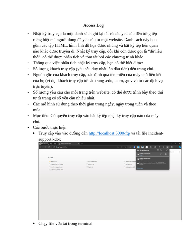 Access Log | PDF