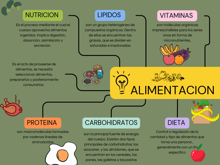 Mapa Conceptual de Alimentos | PDF