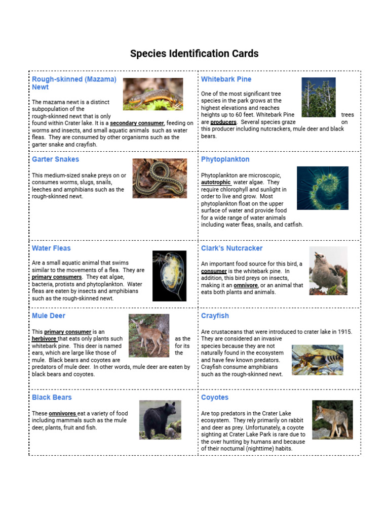 EID 1.2 Species Identification Cards | PDF | Predation | Herbivore