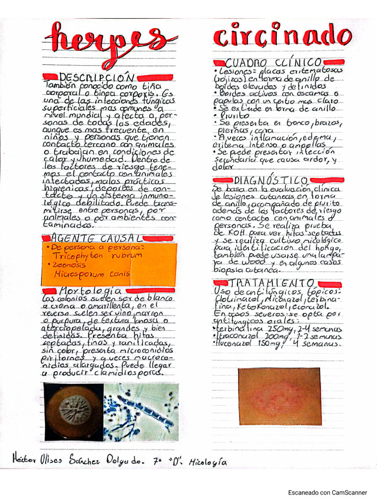 Ficha Herpes Circinado | PDF