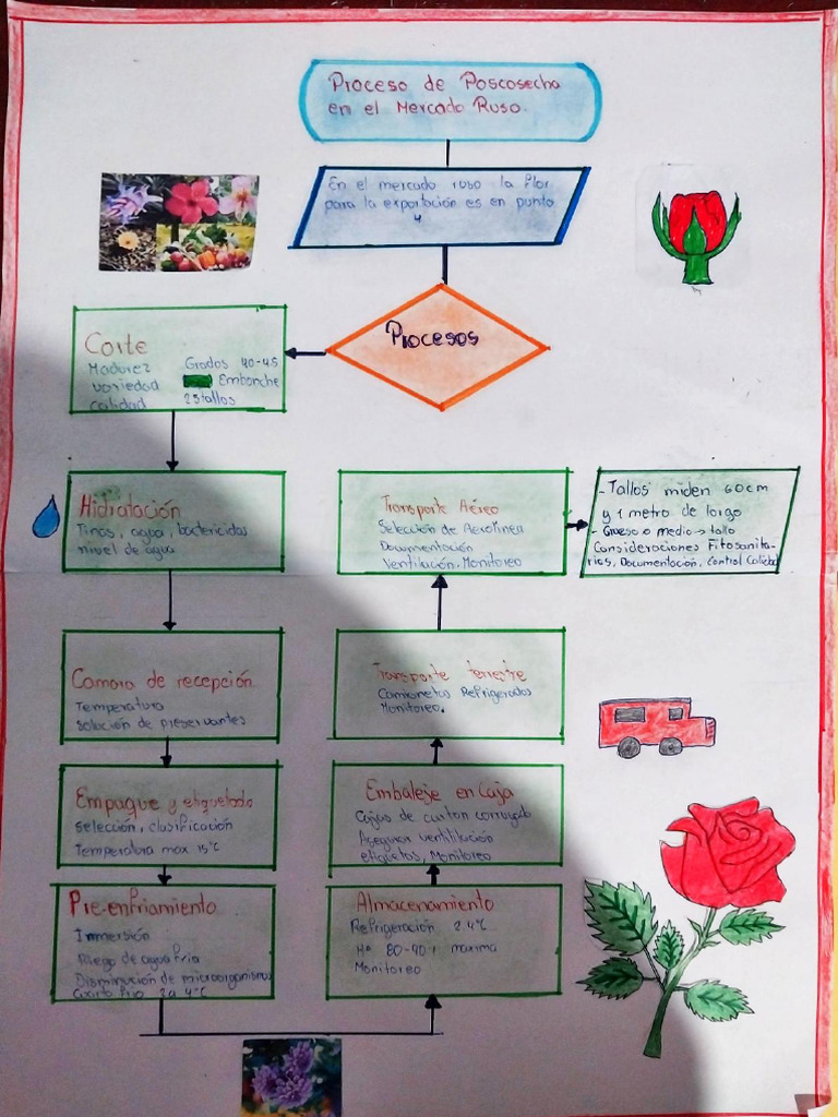 Procesos de La Poscosecha | PDF