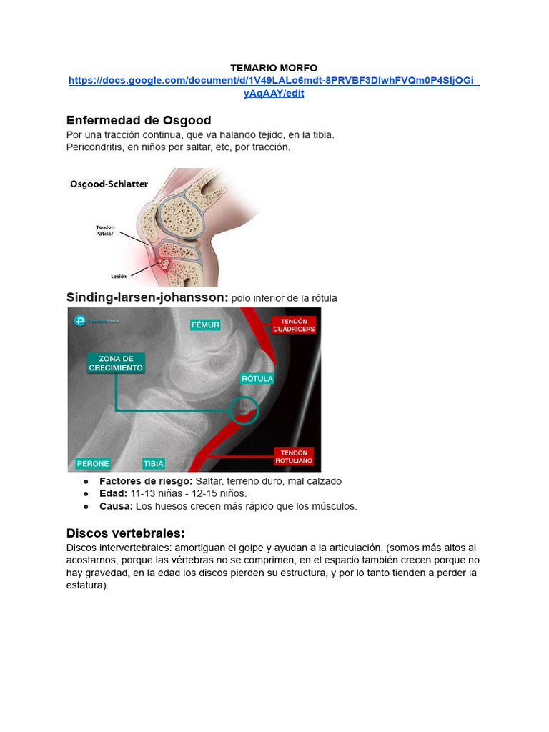 MORFO | PDF | Hombro | Mano