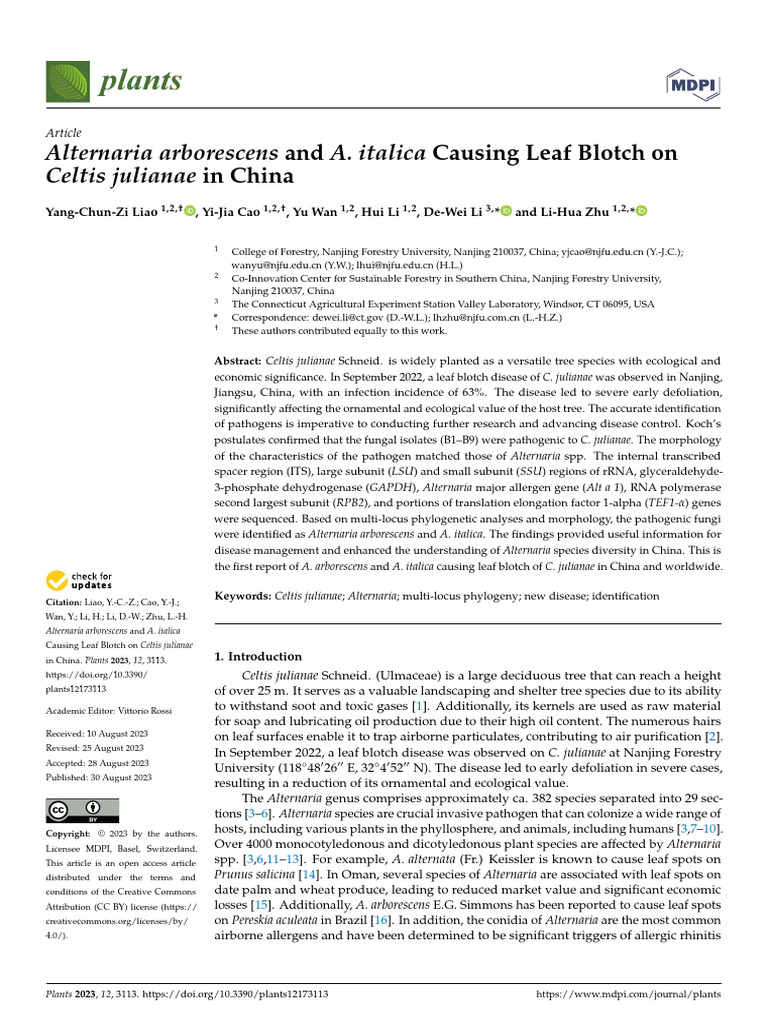 Alternaria Arborescens and A Italica Causing Leaf | PDF | Fungus | Species