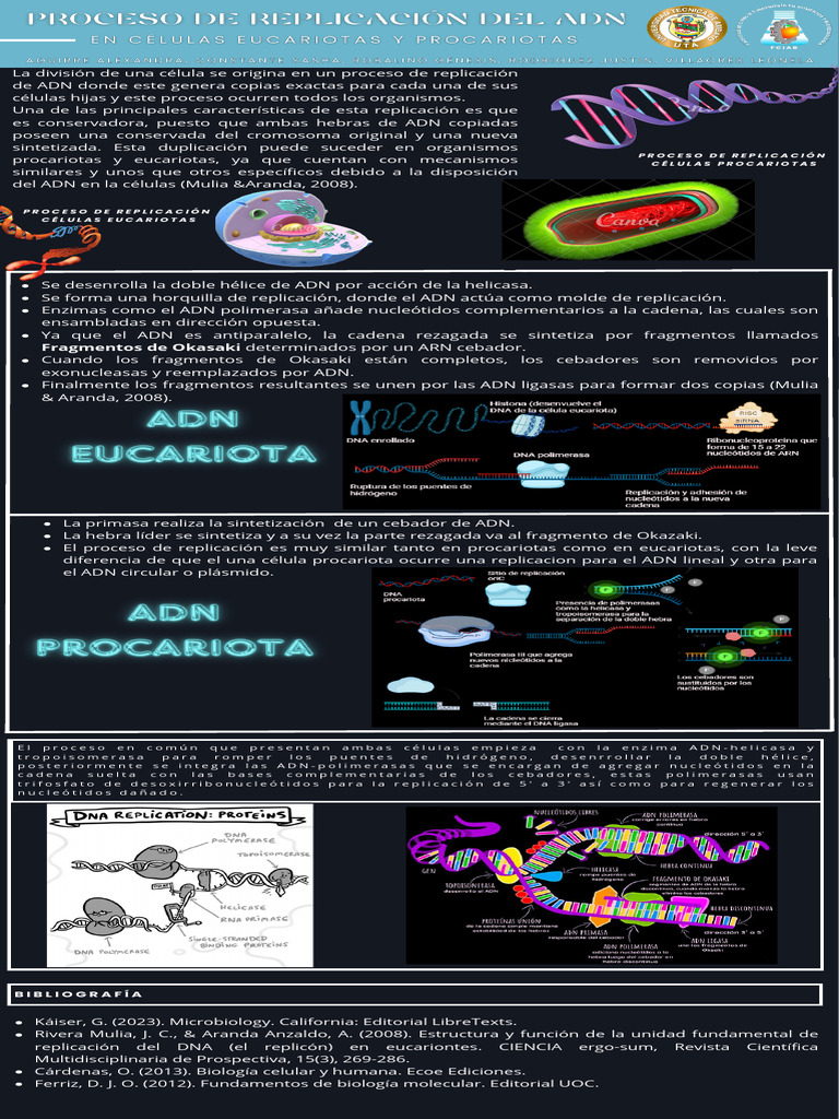 Infografía de Las Diferencias de Replicación de ADN | PDF | Replicación De Adn | Adn