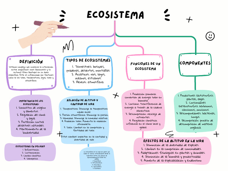 Mapa Conceptual de Ecosistema | PDF | Ecosistema | Suelo