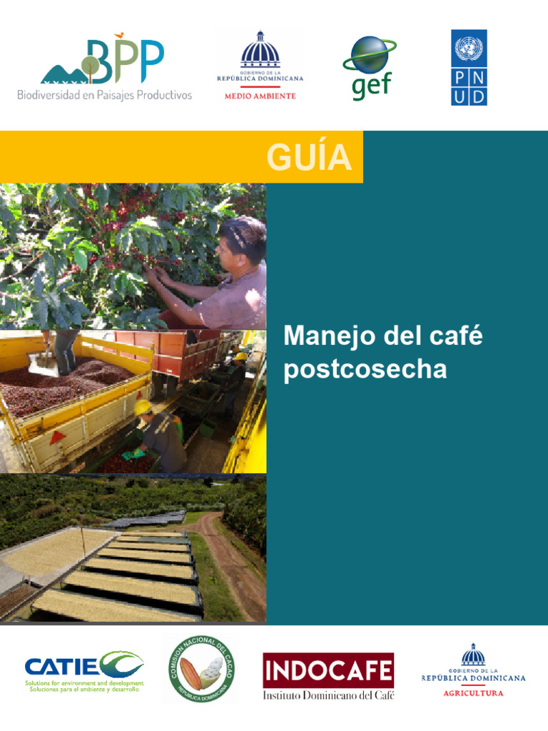 Guia 1 Postcosecha No Academia | PDF | café | Cosecha