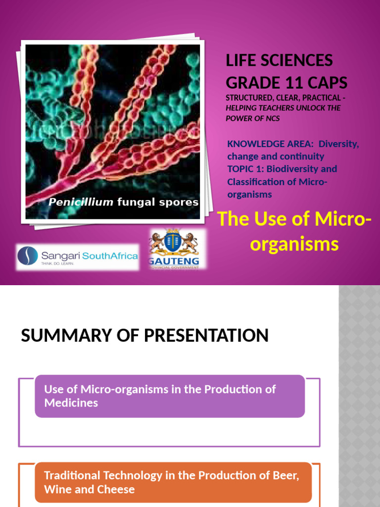 pp8-use-of-micro-organisms | PDF | Yeast | Beer