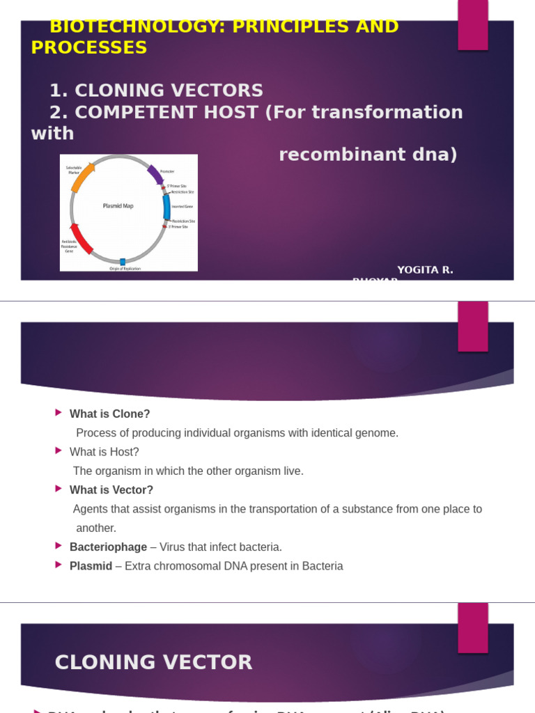 Biotechnology Principle | PDF | Plasmid | Molecular Cloning