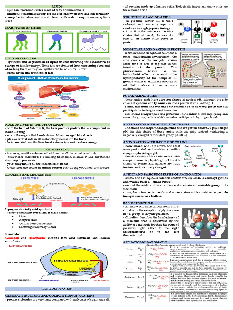 Biochem Lipids To Nucleic Acid | PDF | Amino Acid | Acid