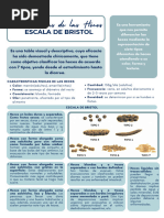 Escala de Heces de Bristol: Clasificación y Tipos | PDF