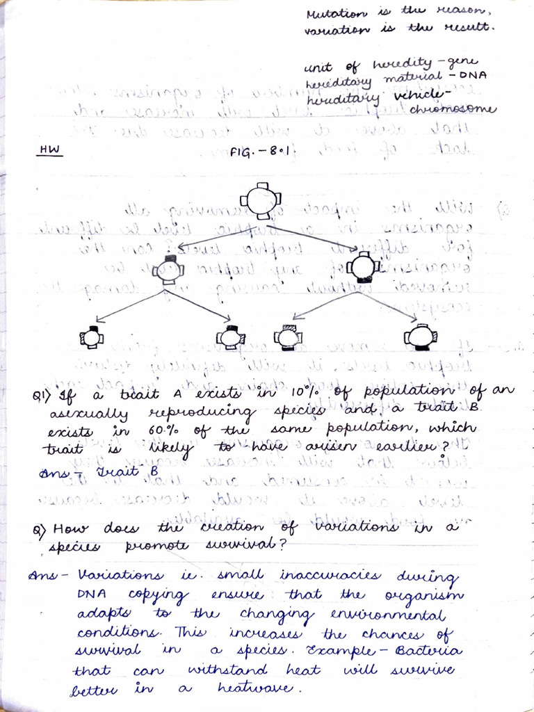 GR 10 Bio Notebook Work Set I | PDF