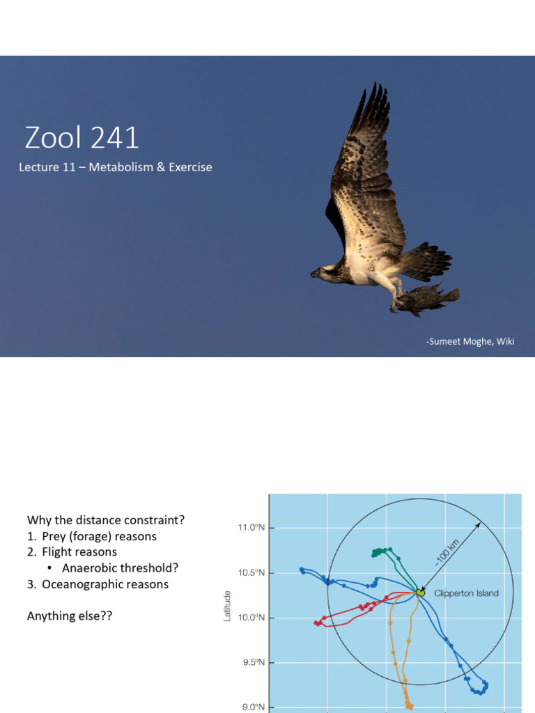 Zool 241-11-20240927 | PDF