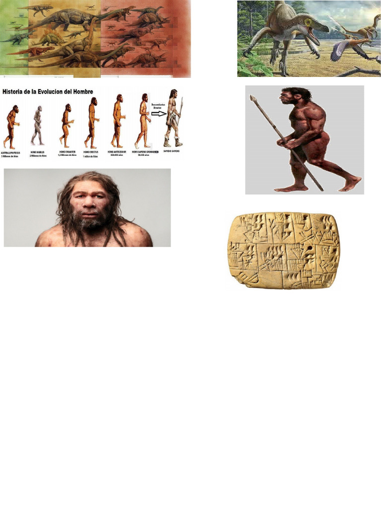 Lengu 5 | PDF