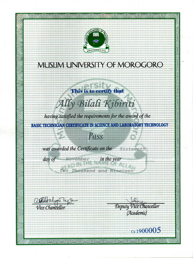 Ally Bilali Kibiriti | PDF