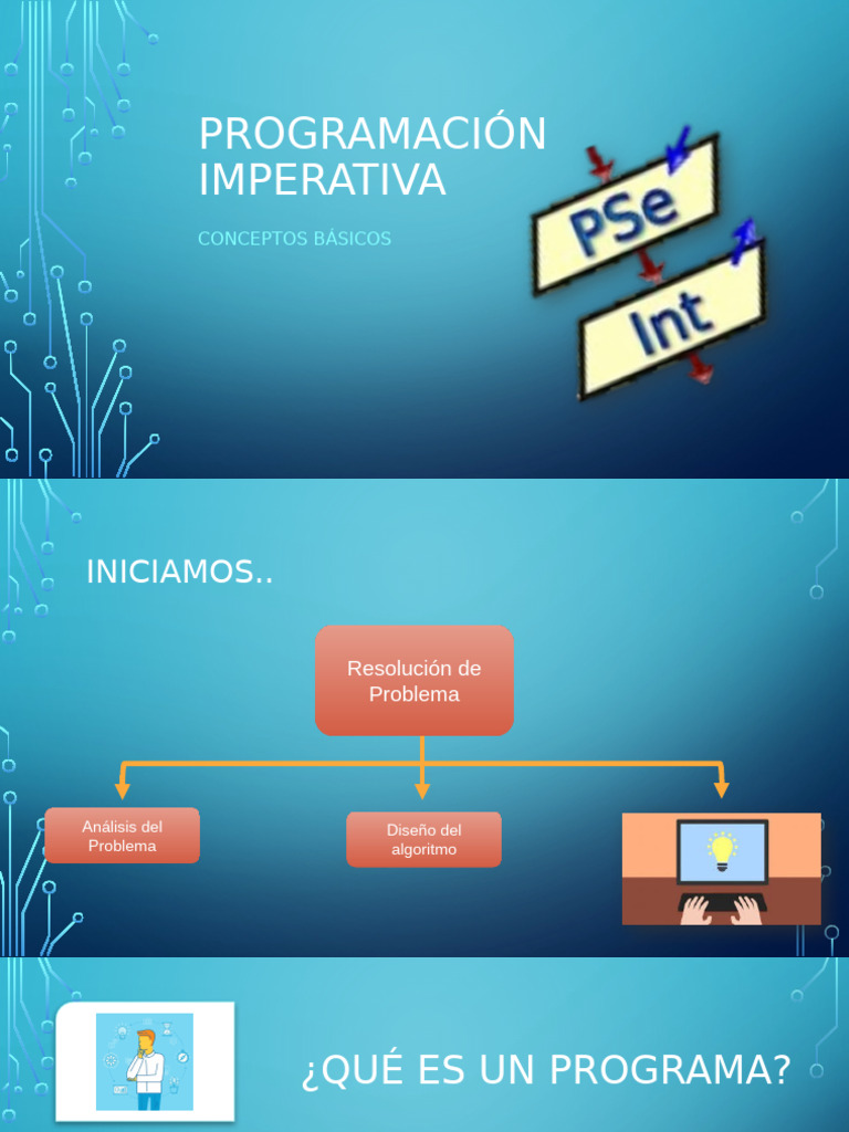 Programación Imperativa - Conceptos | PDF