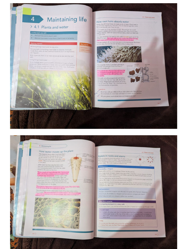 Maintaining Life | PDF