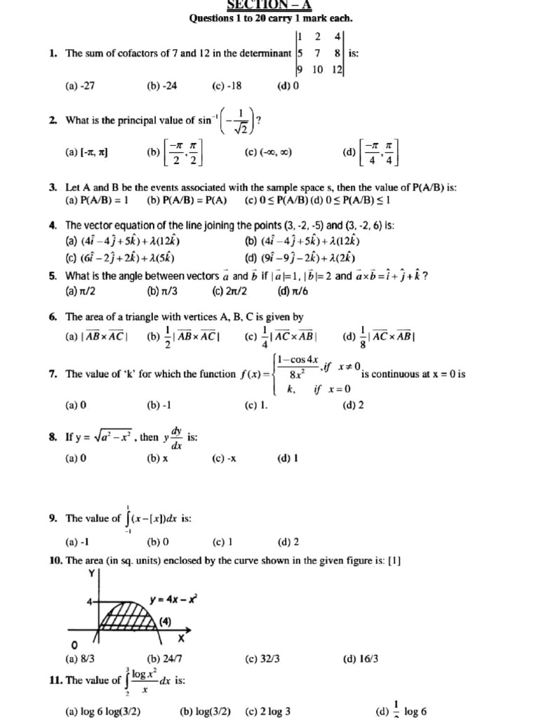 Maths Class 12 Final Paper 10 | PDF | Function (Mathematics ...