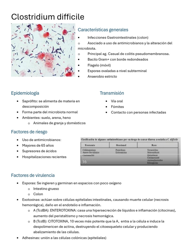 Infecciones por Clostridium difficile: Guía completa | PDF ...