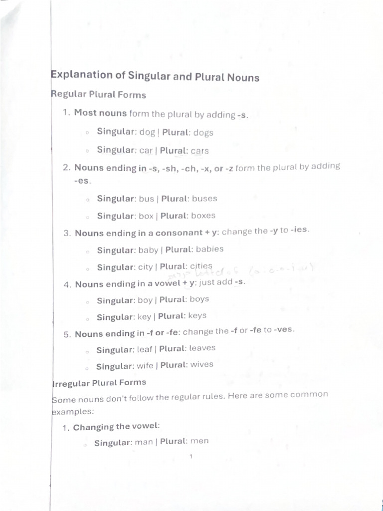 Explanation of Singular and Plural Nouns | PDF